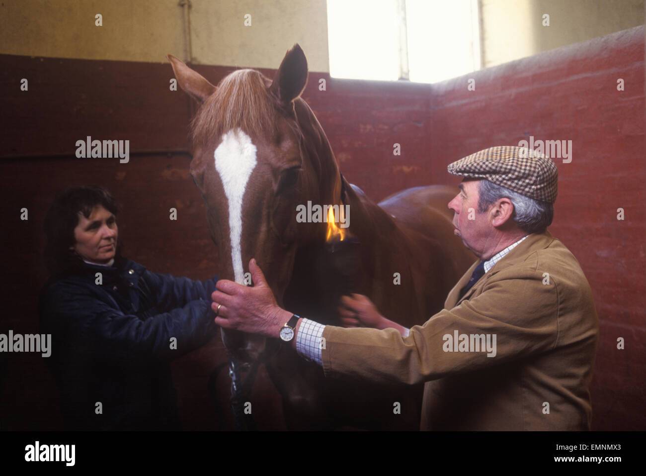 Brian higham -Fotos und -Bildmaterial in hoher Auflösung – Alamy