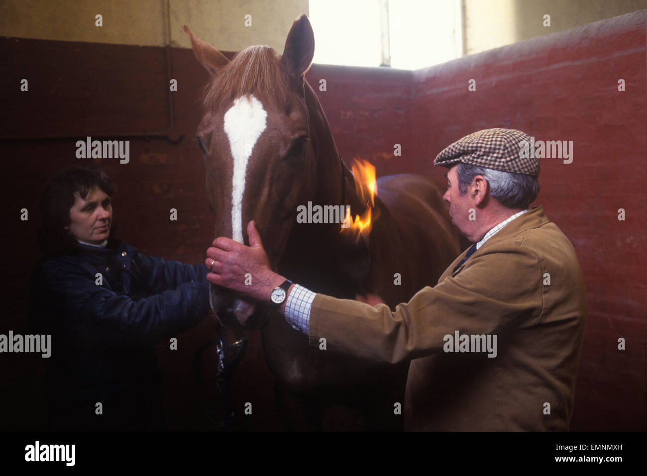 Brian higham -Fotos und -Bildmaterial in hoher Auflösung – Alamy