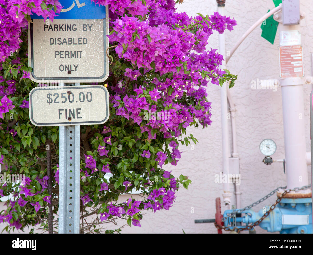 Erlaube das parken nur schild -Fotos und -Bildmaterial in hoher ...