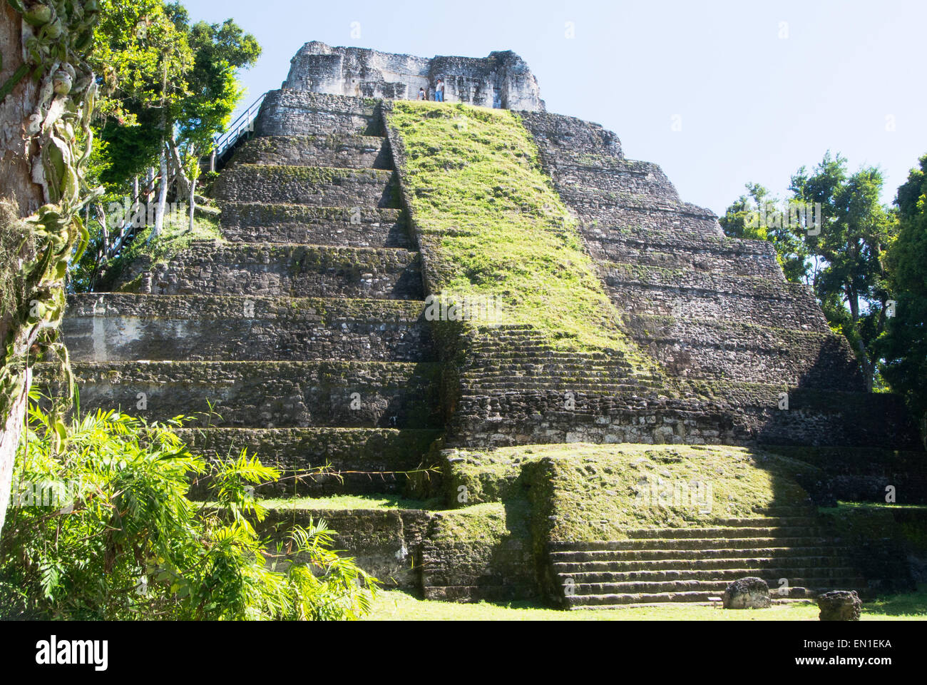 Alte Maya-Pyramide im Dschungel Ruinen von Yaxha, Petén, Guatemala ...
