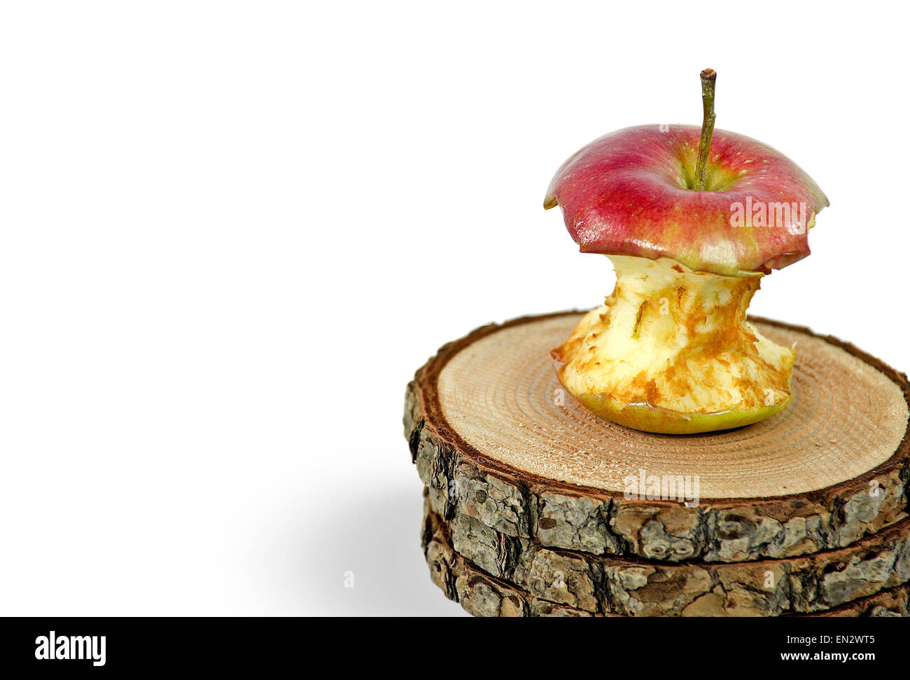 Fauler apfel am baum -Fotos und -Bildmaterial in hoher Auflösung – Alamy
