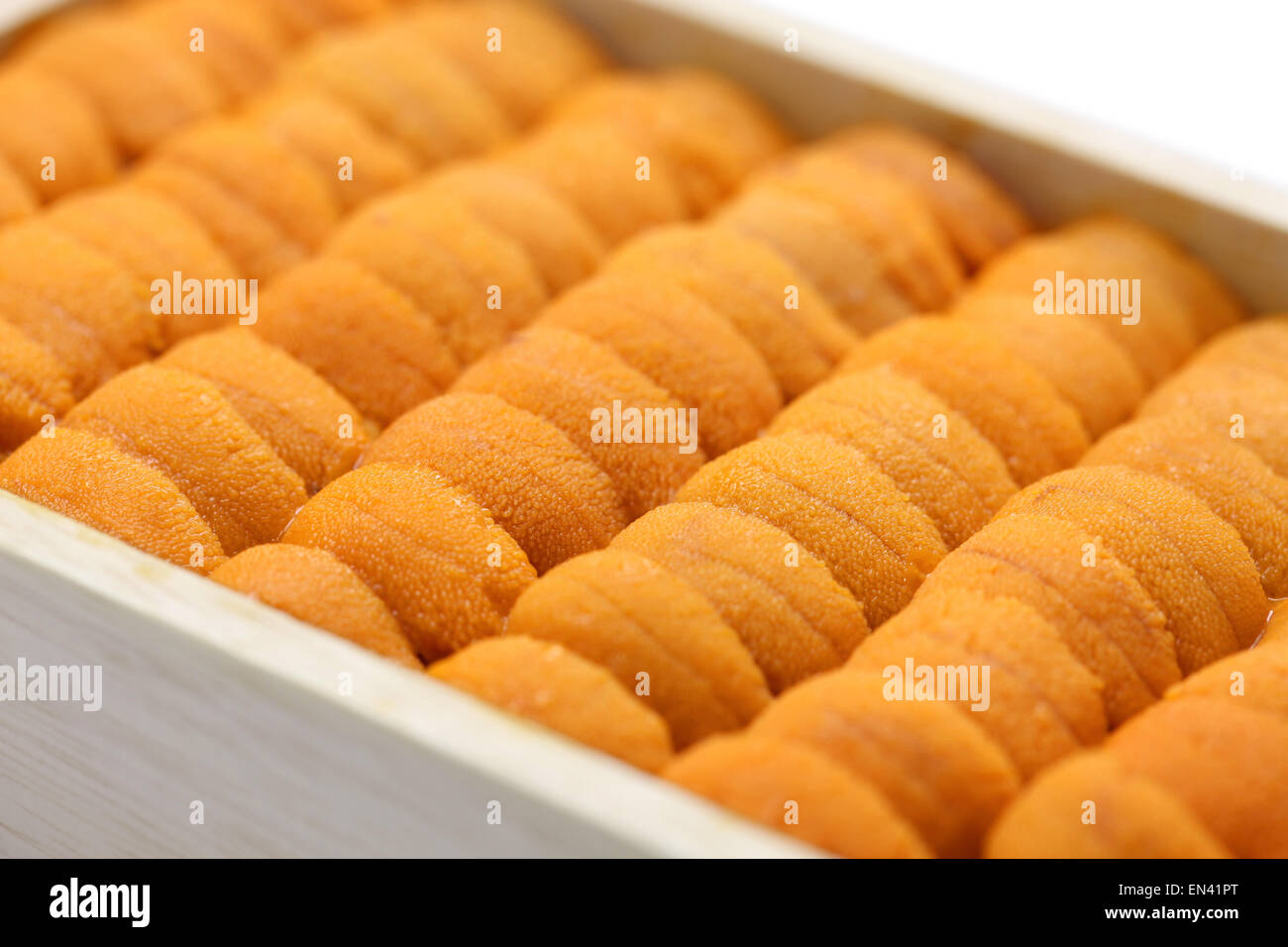 Japanische grüne Seeigel Rogen, Ezo Bafun Uni, Sushi und Sashimi ...