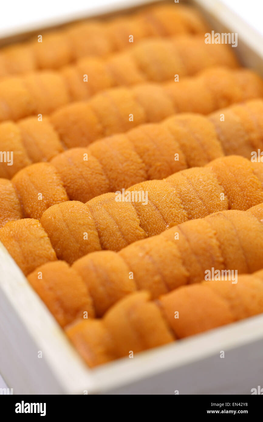 Japanische grüne Seeigel Rogen, Ezo Bafun Uni, Sushi und Sashimi ...