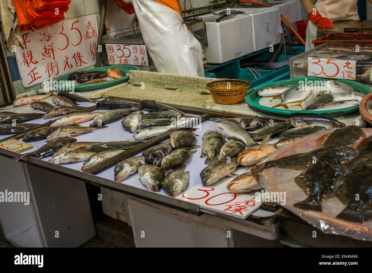 Lebendiger fisch -Fotos und -Bildmaterial in hoher Auflösung – Alamy