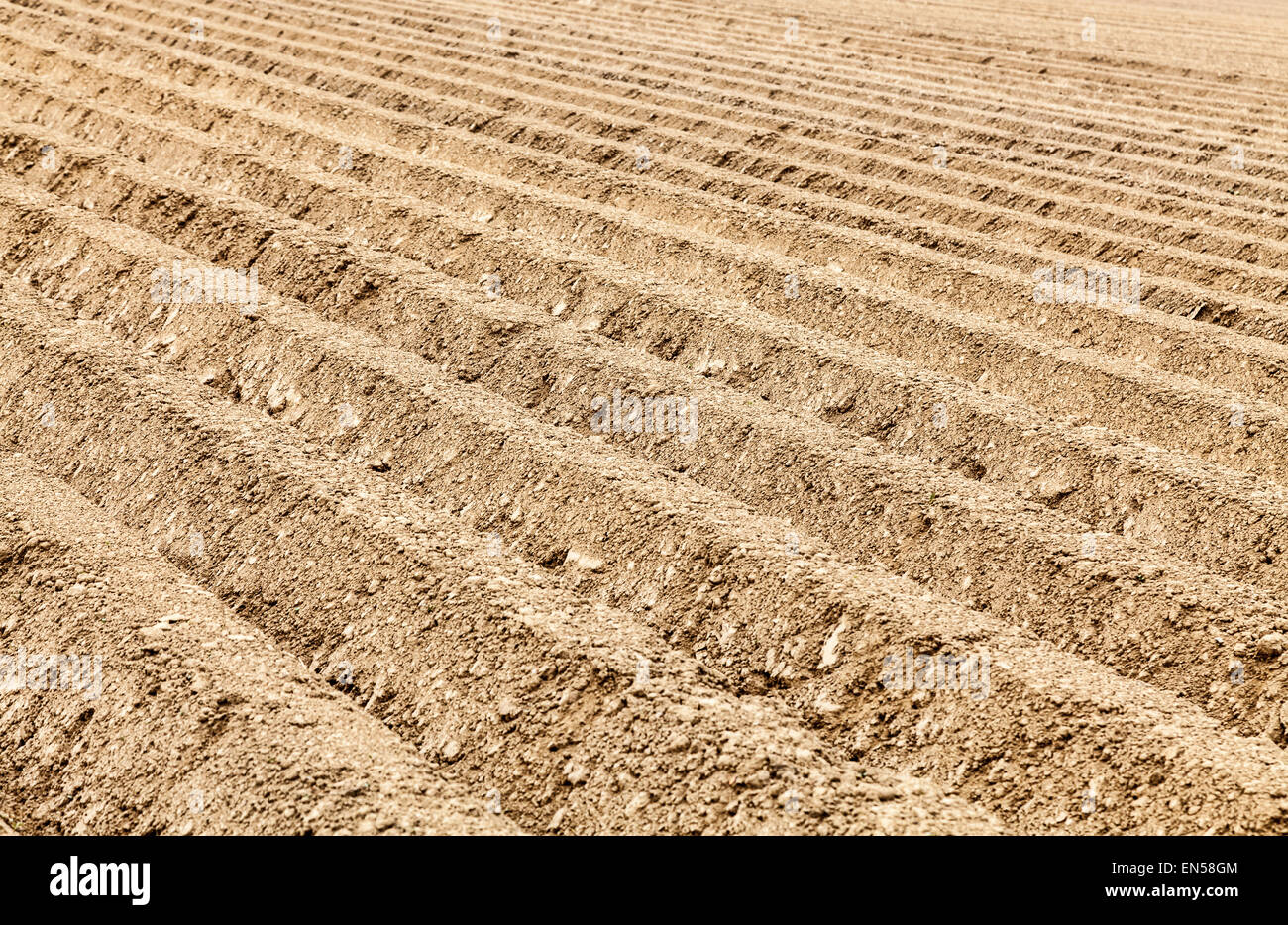 Furchen muster -Fotos und -Bildmaterial in hoher Auflösung – Alamy