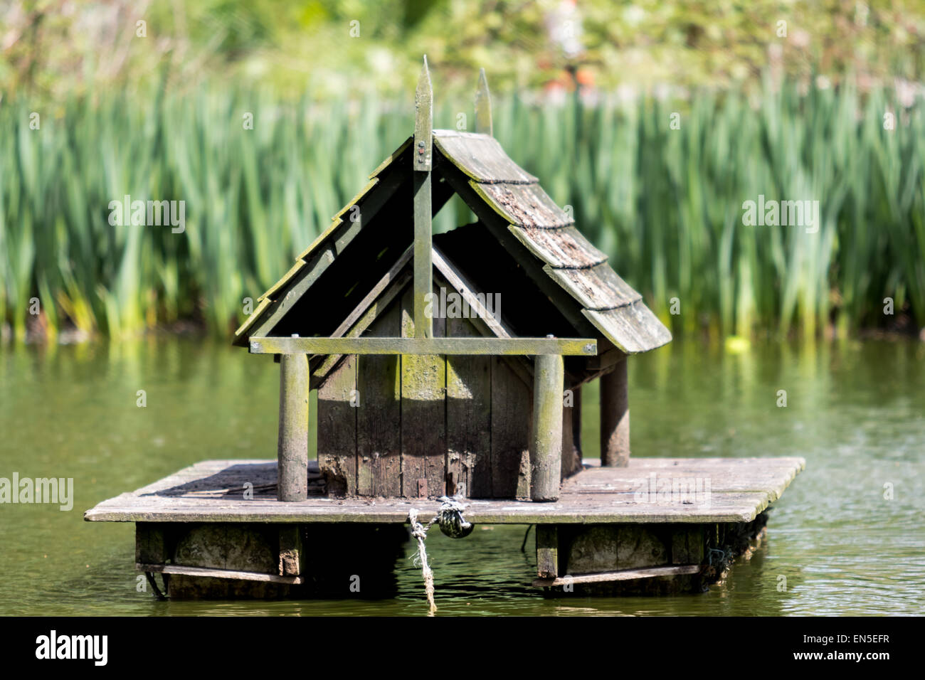 Entenhaus auf dem wasser -Fotos und -Bildmaterial in hoher Auflösung ...