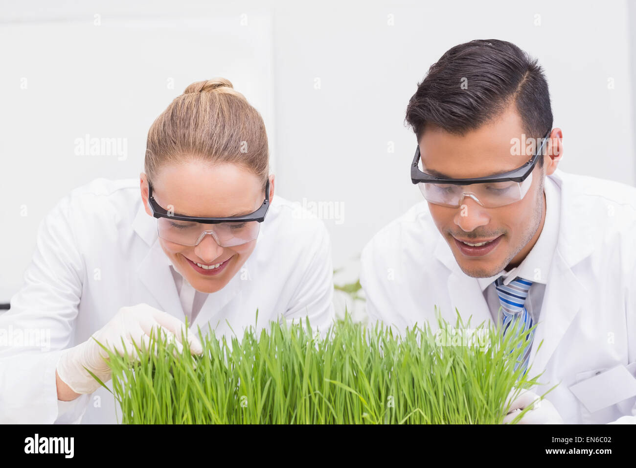 Wissenschaftler untersuchen -Fotos und -Bildmaterial in hoher Auflösung ...