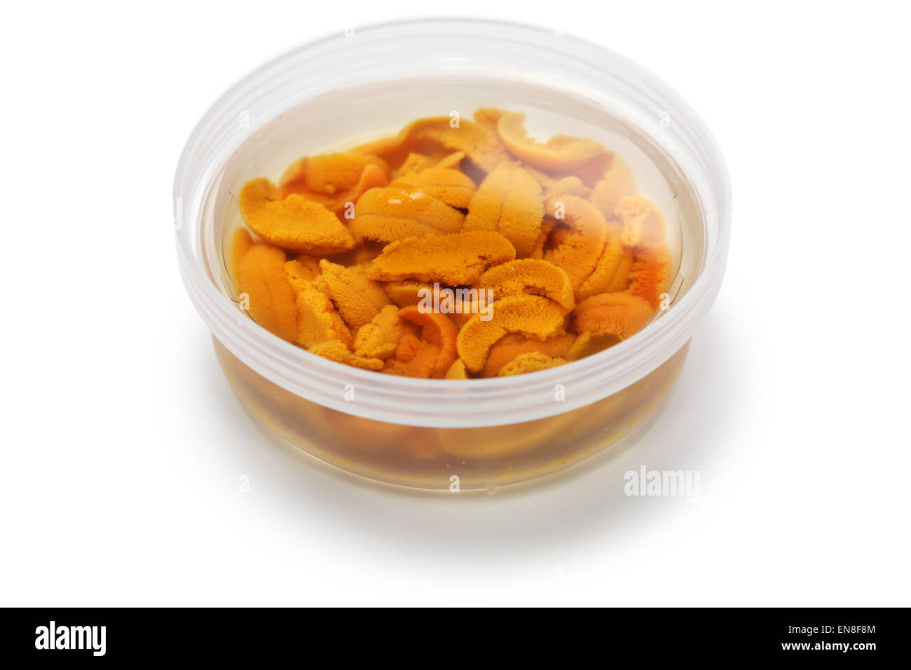 Japanischer seeigel -Fotos und -Bildmaterial in hoher Auflösung – Alamy