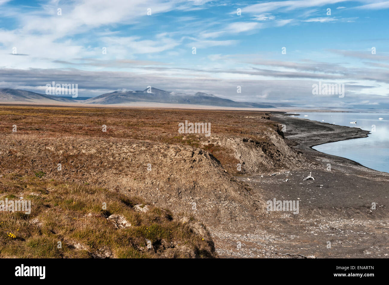 Wrangel Island, Küste, russischen Fernen Osten, UNESCO-Weltkulturerbe ...