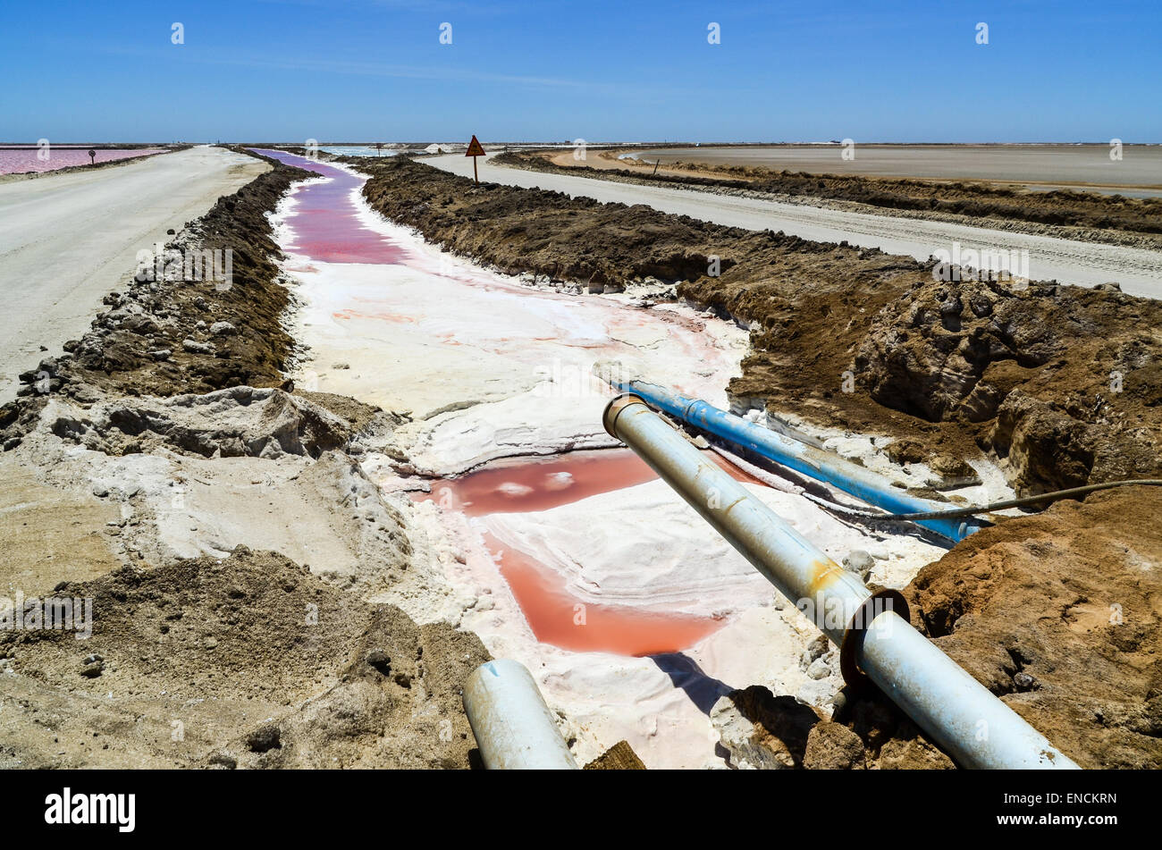 Rohr in die rosa Wasser von der Saline in Walvis Bay, Namibia ...