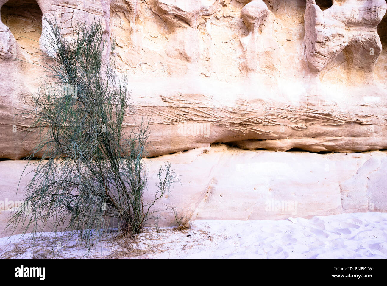 Khudra -Fotos und -Bildmaterial in hoher Auflösung – Alamy