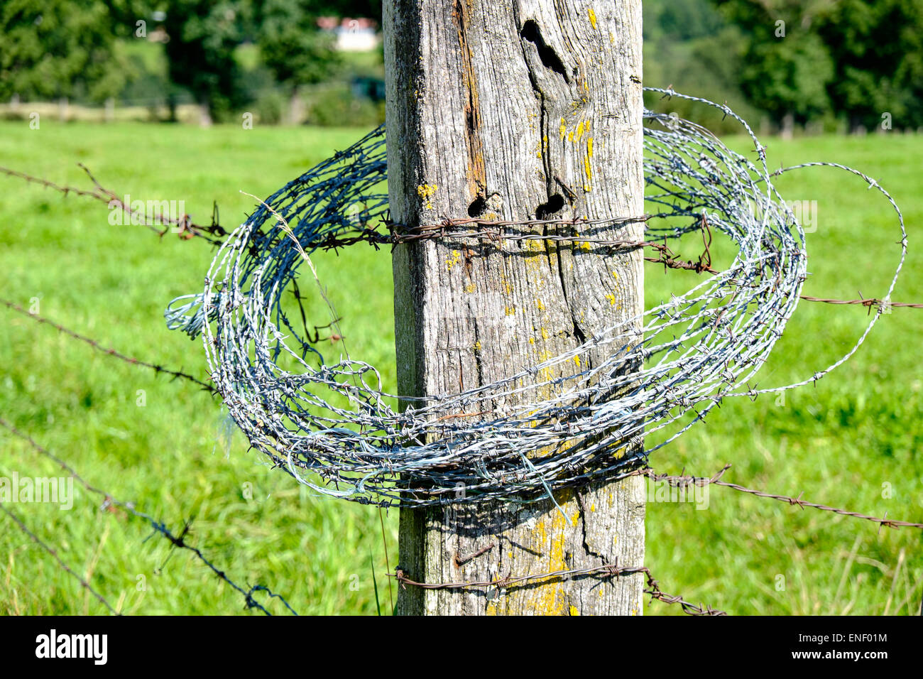 Betonzaunpfosten und stacheldraht -Fotos und -Bildmaterial in hoher ...