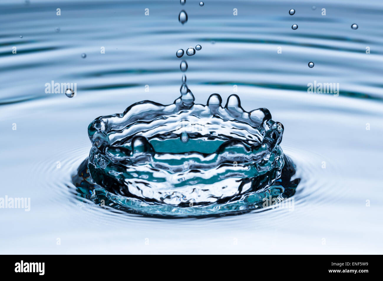 Wassertropfen foto -Fotos und -Bildmaterial in hoher Auflösung – Alamy