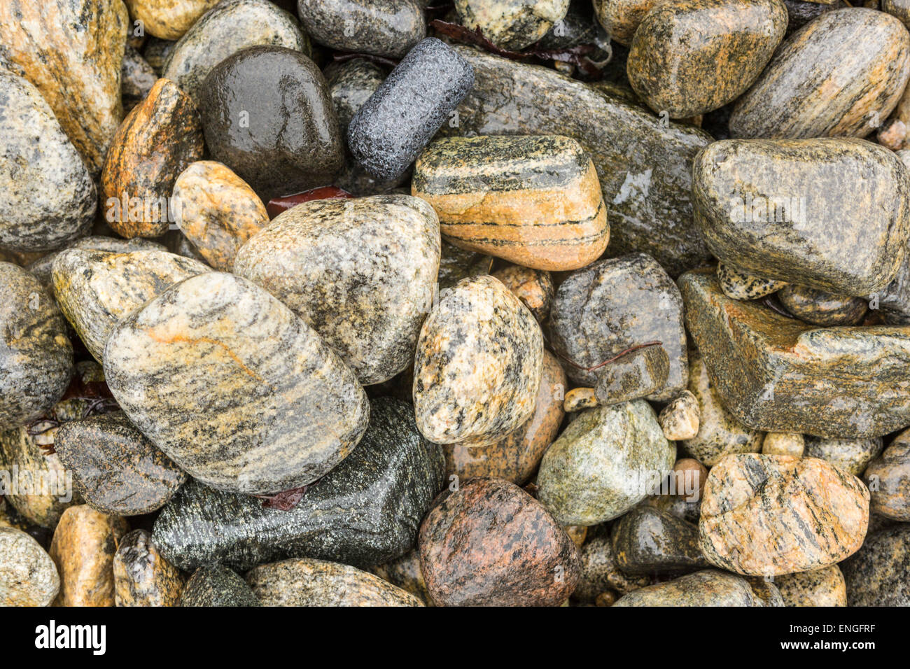 Farbige kiesel und steine -Fotos und -Bildmaterial in hoher Auflösung ...