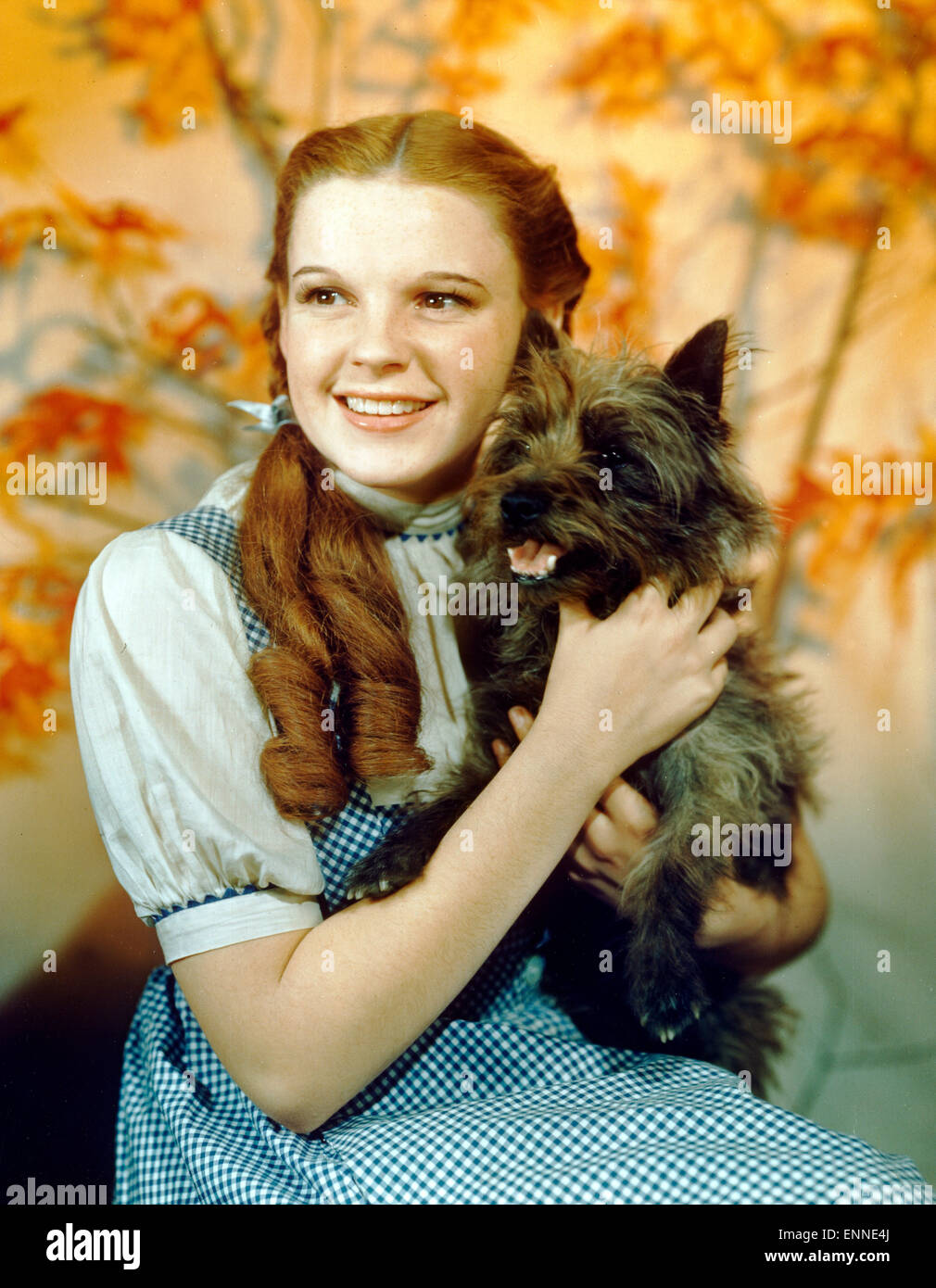 Der Zauberer von Oz, USA 1939, aka: Das Zauberhafte Land, auch bekannt ...