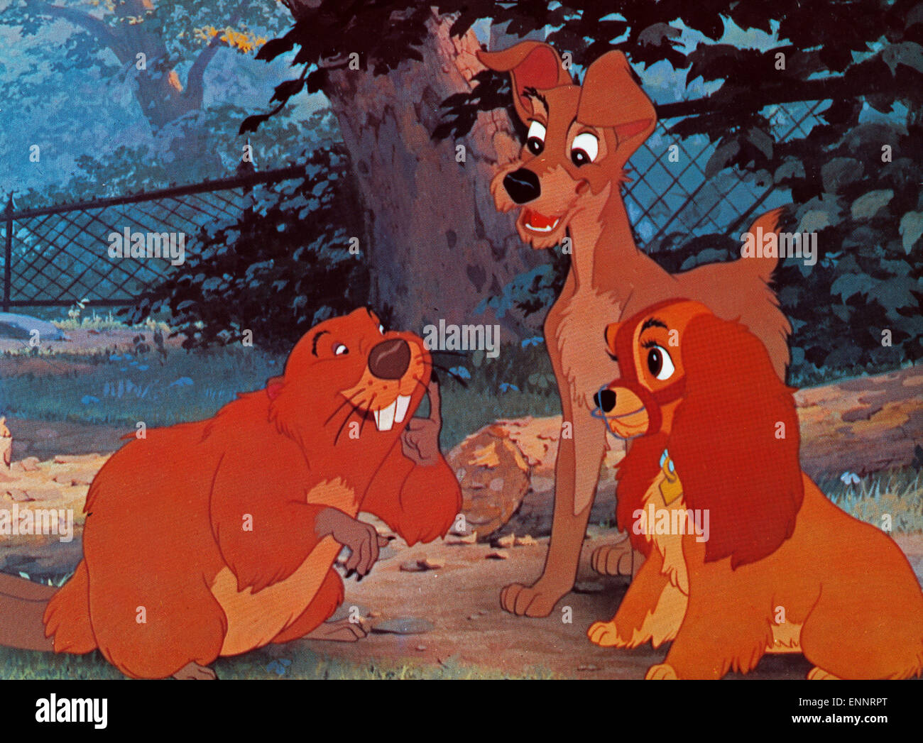 Die Lady und der Tramp, aka: Susi Und Strolch, USA 1955 ...