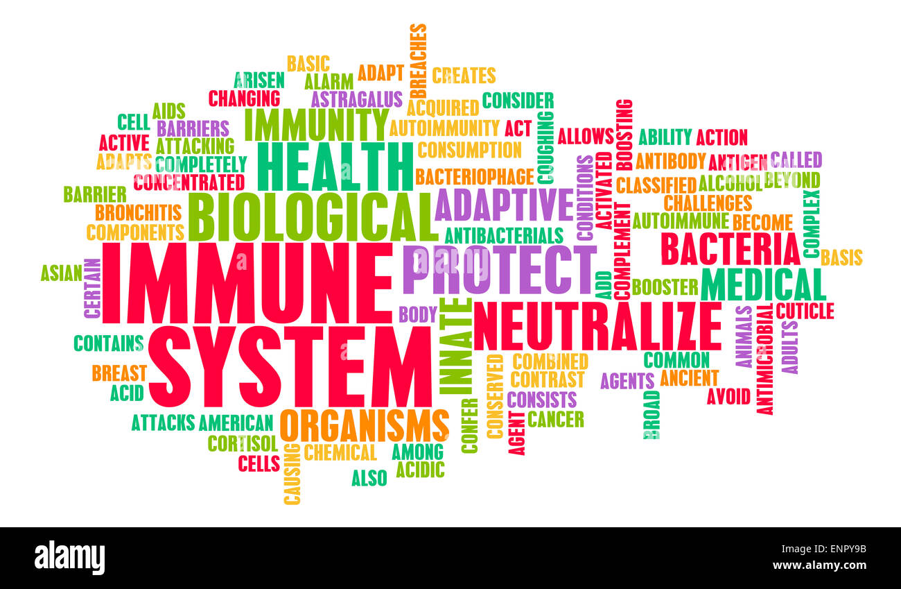 Immunsystem eines guten und gesunden menschlichen Körpers ...