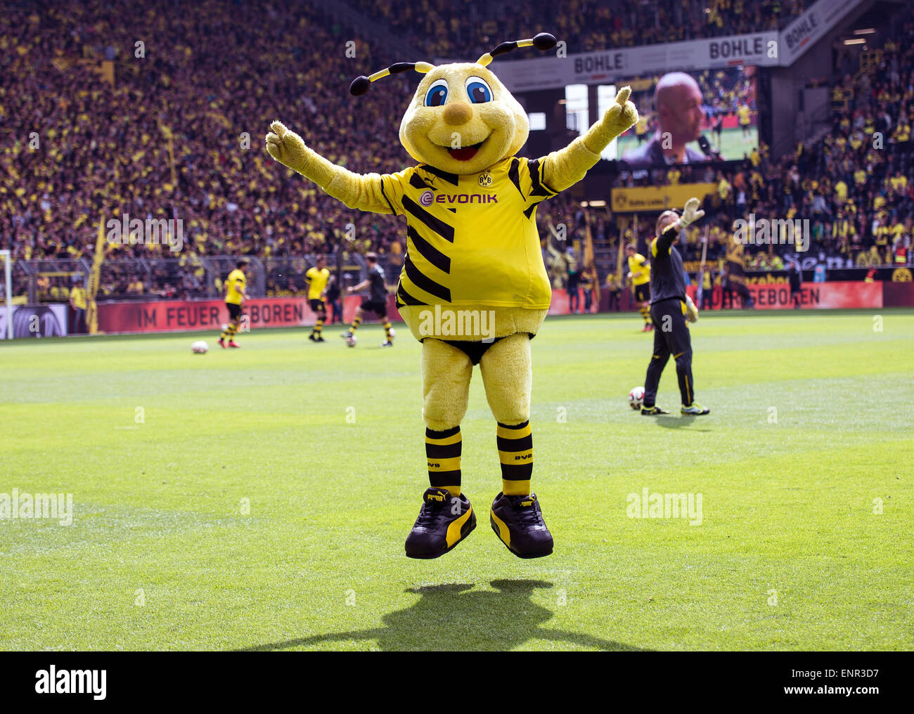 Dortmund, Deutschland. 9. Mai 2015. Maskottchen Emma vor der deutschen ...