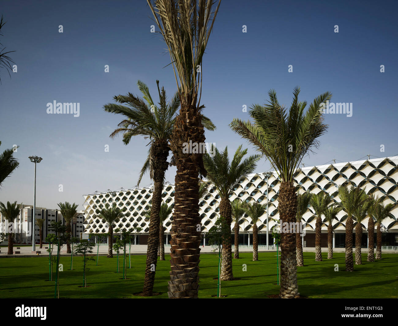 Saudi bibliothek -Fotos und -Bildmaterial in hoher Auflösung – Alamy