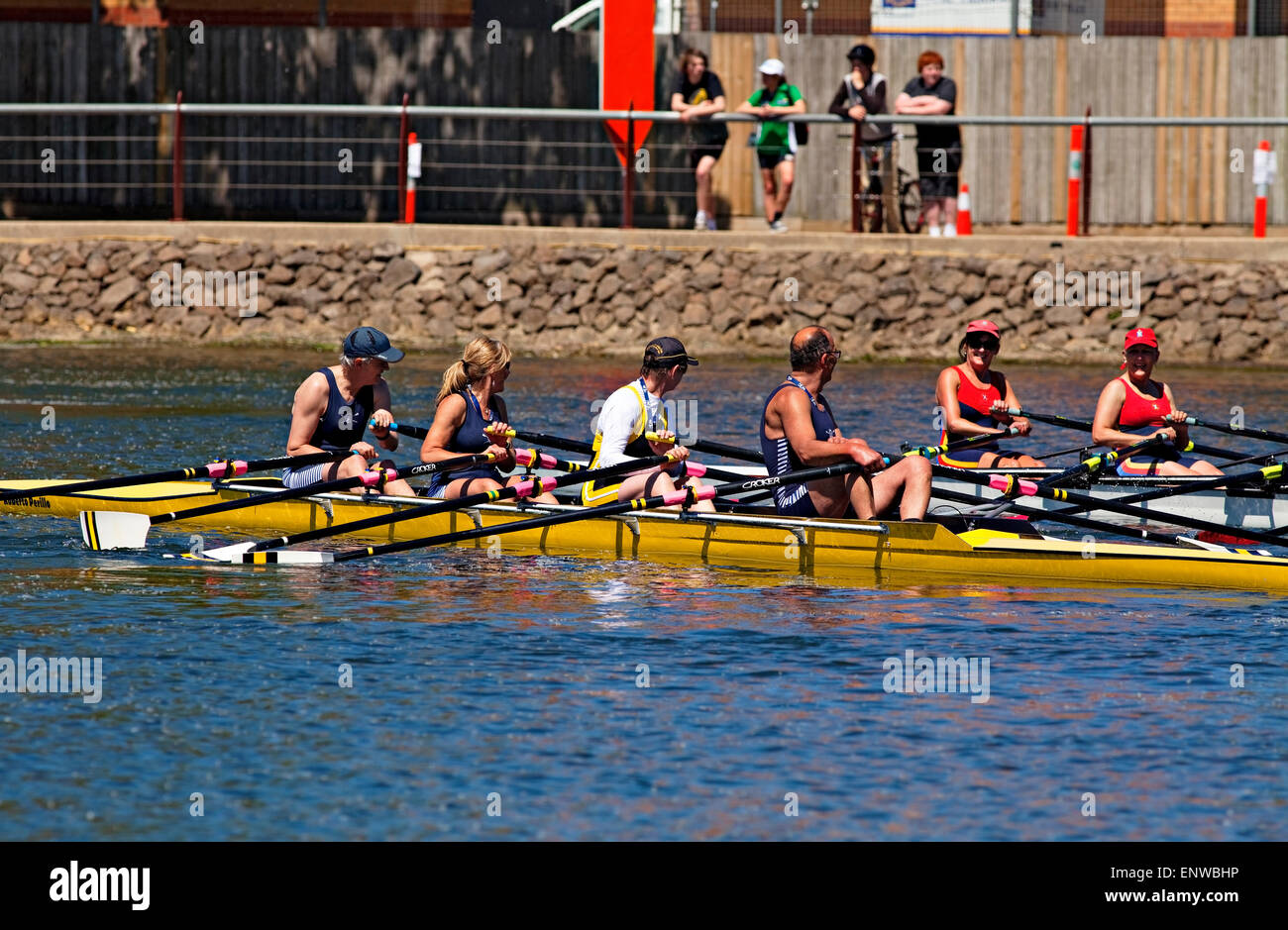 Rudern regatta -Fotos und -Bildmaterial in hoher Auflösung – Alamy