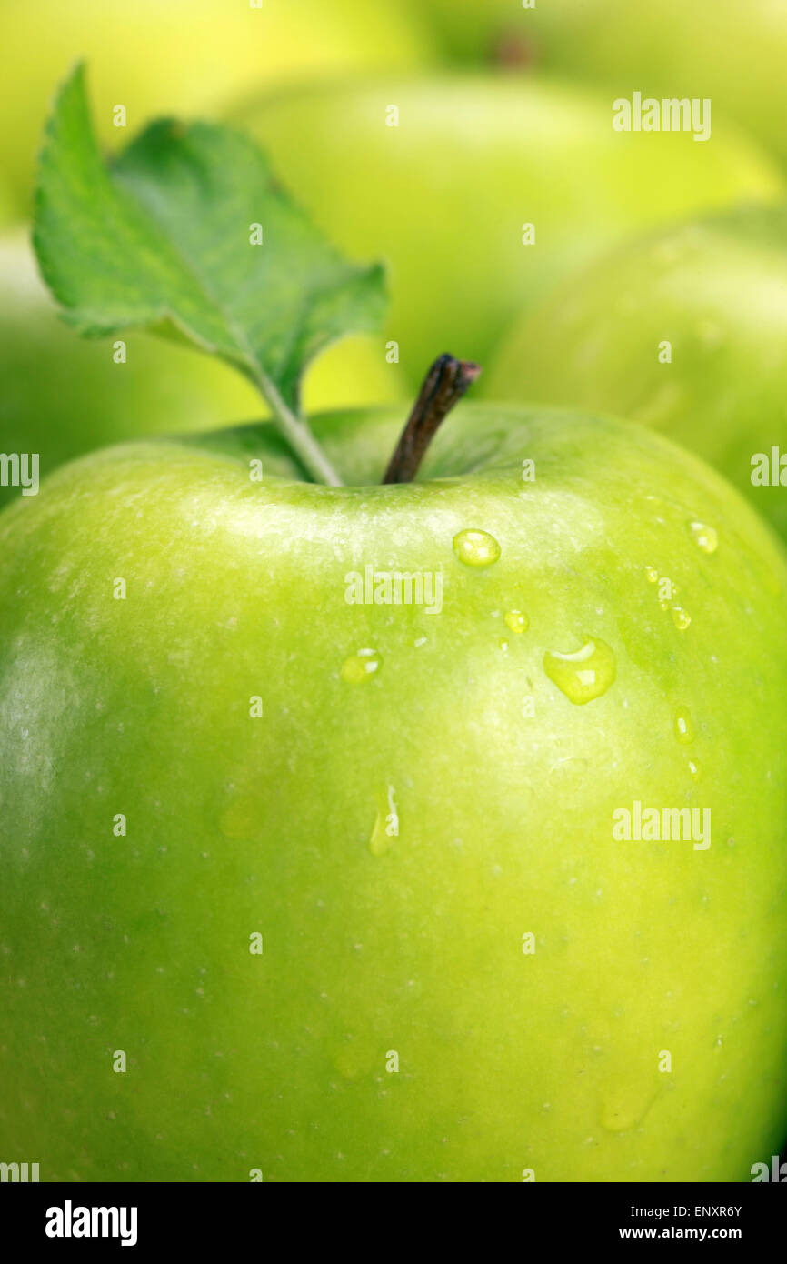 Goldener köstlicher apfel -Fotos und -Bildmaterial in hoher Auflösung ...