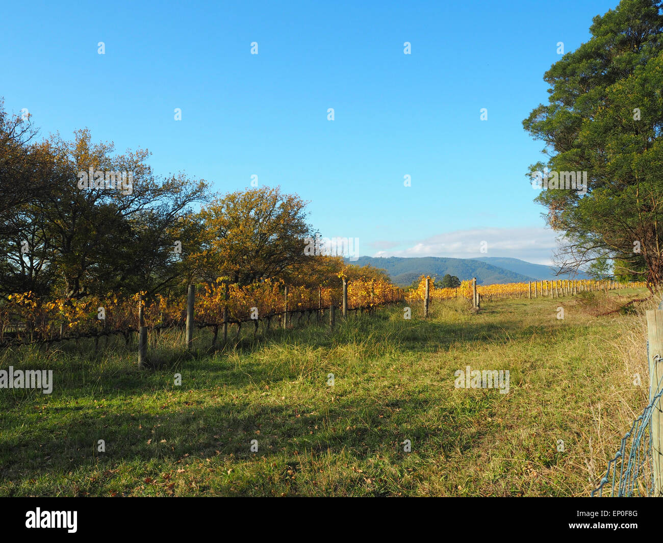 Yarra ranges -Fotos und -Bildmaterial in hoher Auflösung – Alamy