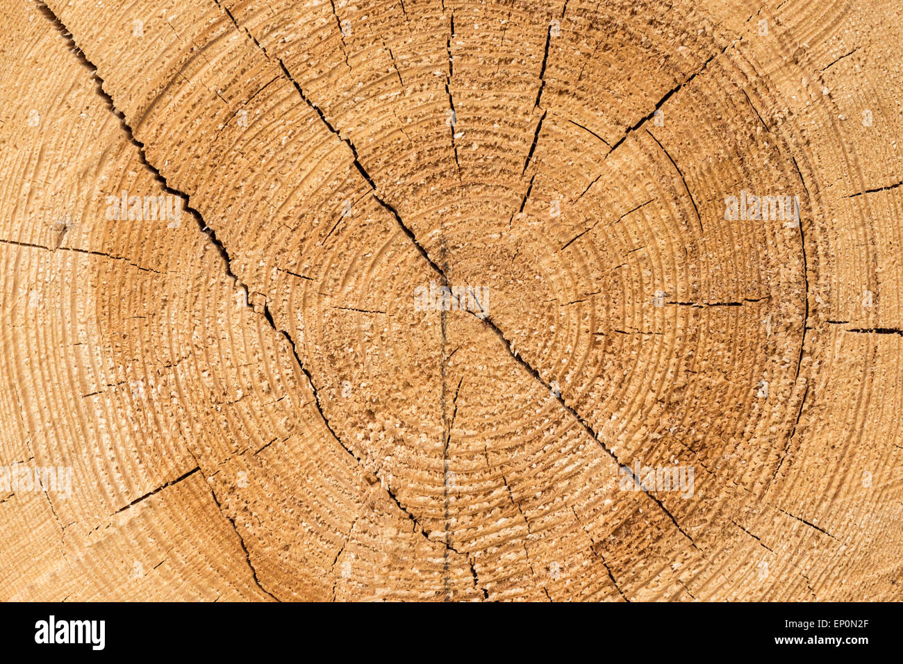 Kiefer holz textur -Fotos und -Bildmaterial in hoher Auflösung – Alamy