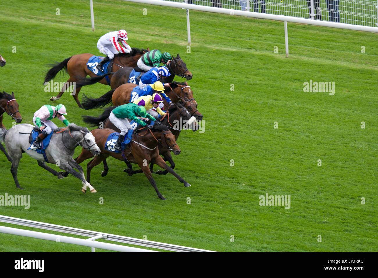 York horse racing -Fotos und -Bildmaterial in hoher Auflösung – Alamy
