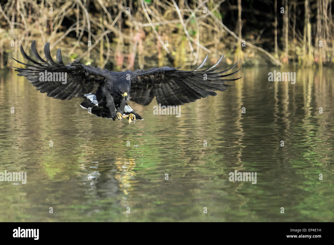 Einen fisch angeln -Fotos und -Bildmaterial in hoher Auflösung – Alamy