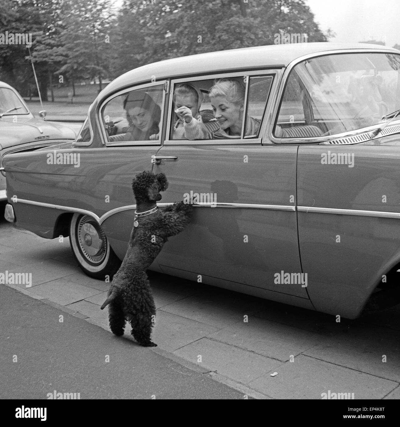 Ein Pudel bin Auto von Schauspielerin Gisela Uhlen Und Ihren Töchtern ...
