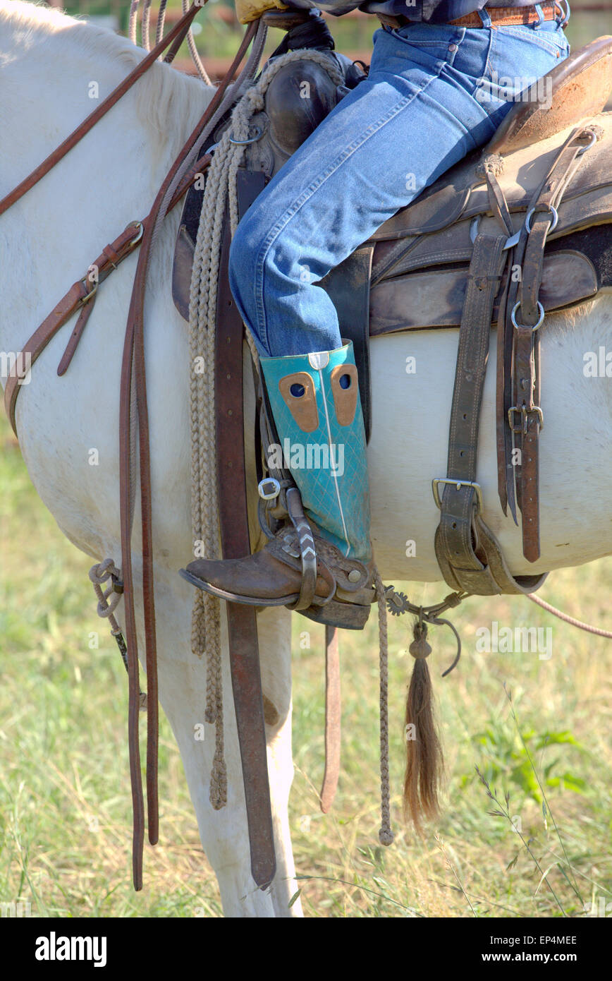 Cowboy auf Pferd mit Seil Stockfotografie - Alamy