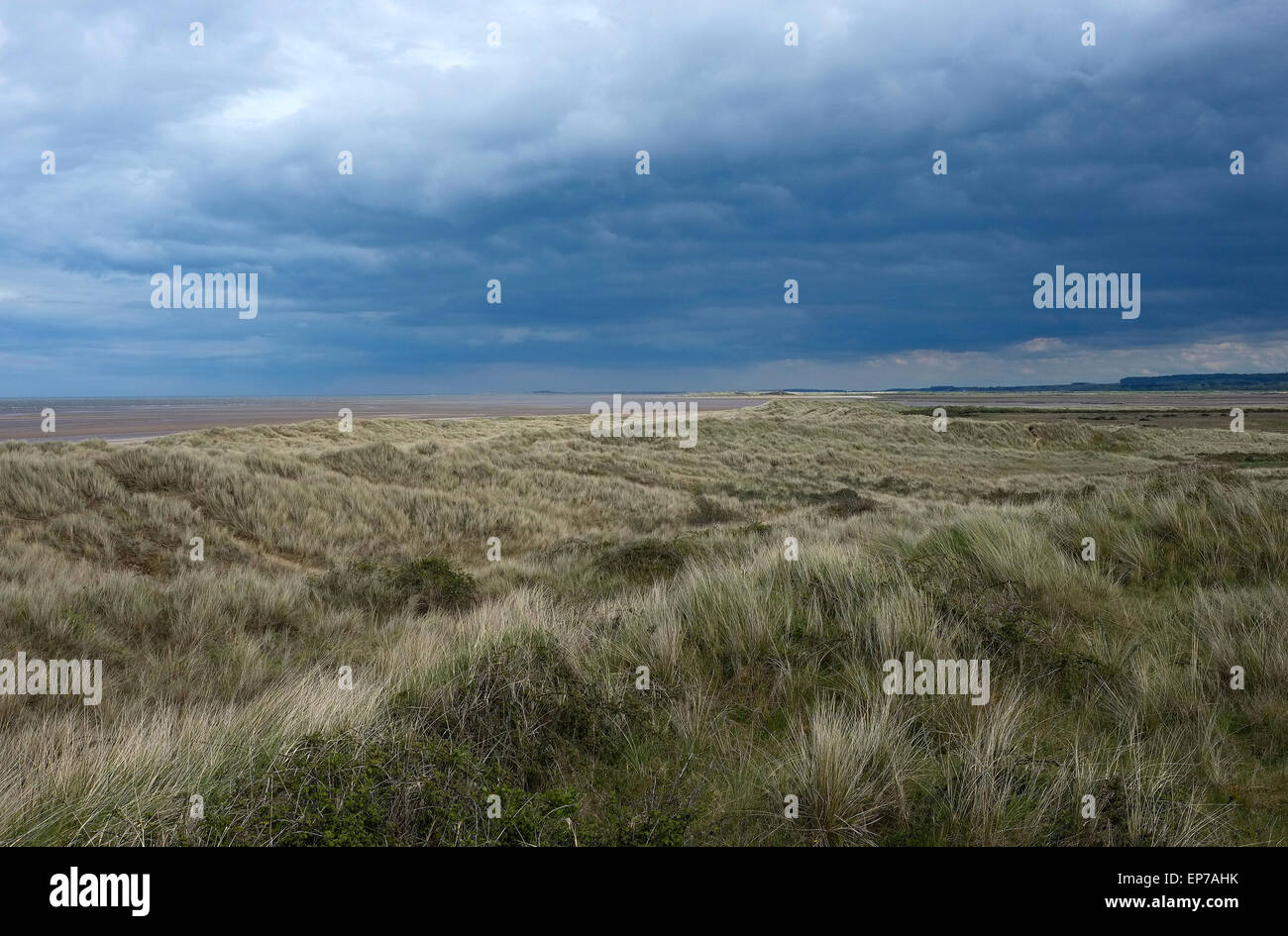 Holme sand -Fotos und -Bildmaterial in hoher Auflösung – Alamy
