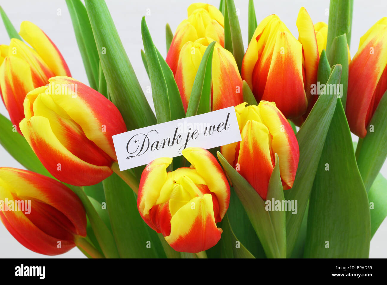 Dank Je Wel Stockfotos und -bilder Kaufen - Alamy