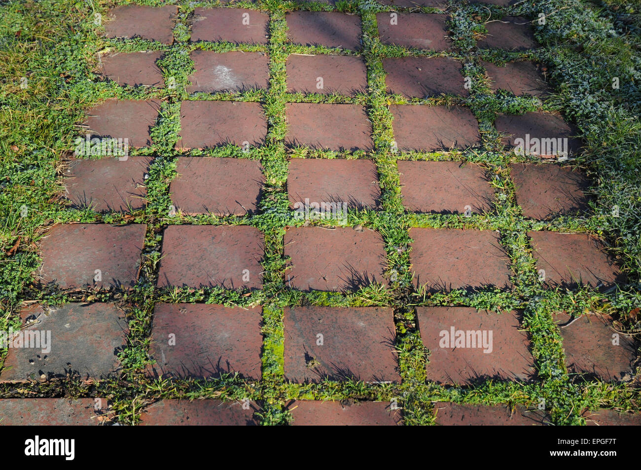Gras pflaster -Fotos und -Bildmaterial in hoher Auflösung – Alamy
