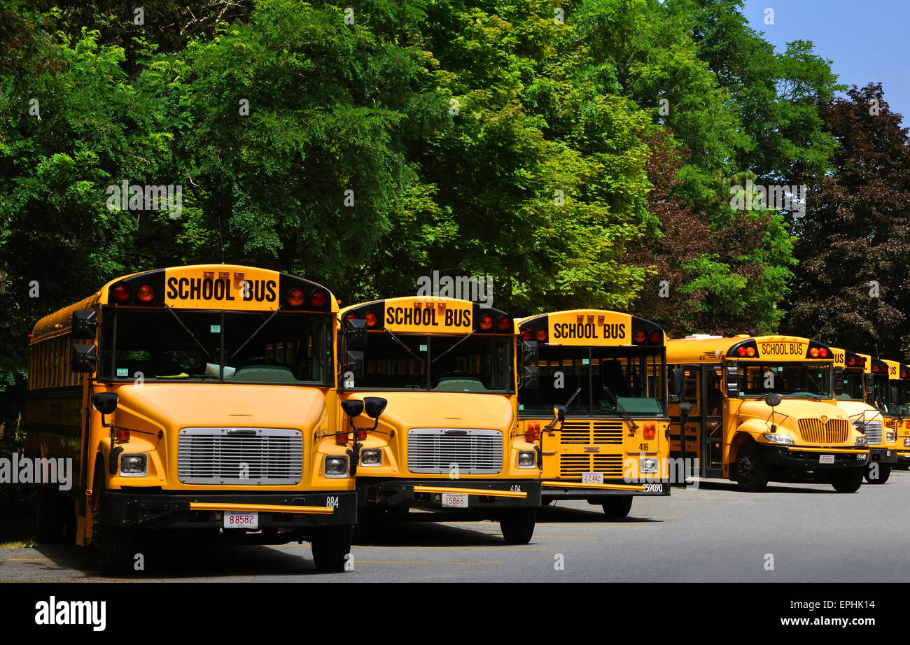 School buses -Fotos und -Bildmaterial in hoher Auflösung – Alamy