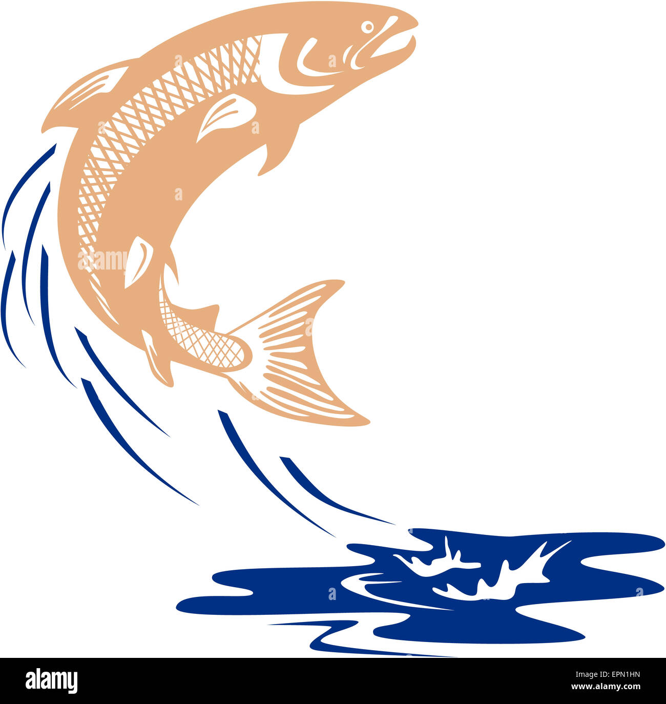 Fische springen wasser -Fotos und -Bildmaterial in hoher Auflösung – Alamy