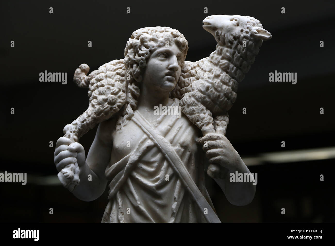 Pio cristiano museum -Fotos und -Bildmaterial in hoher Auflösung – Alamy