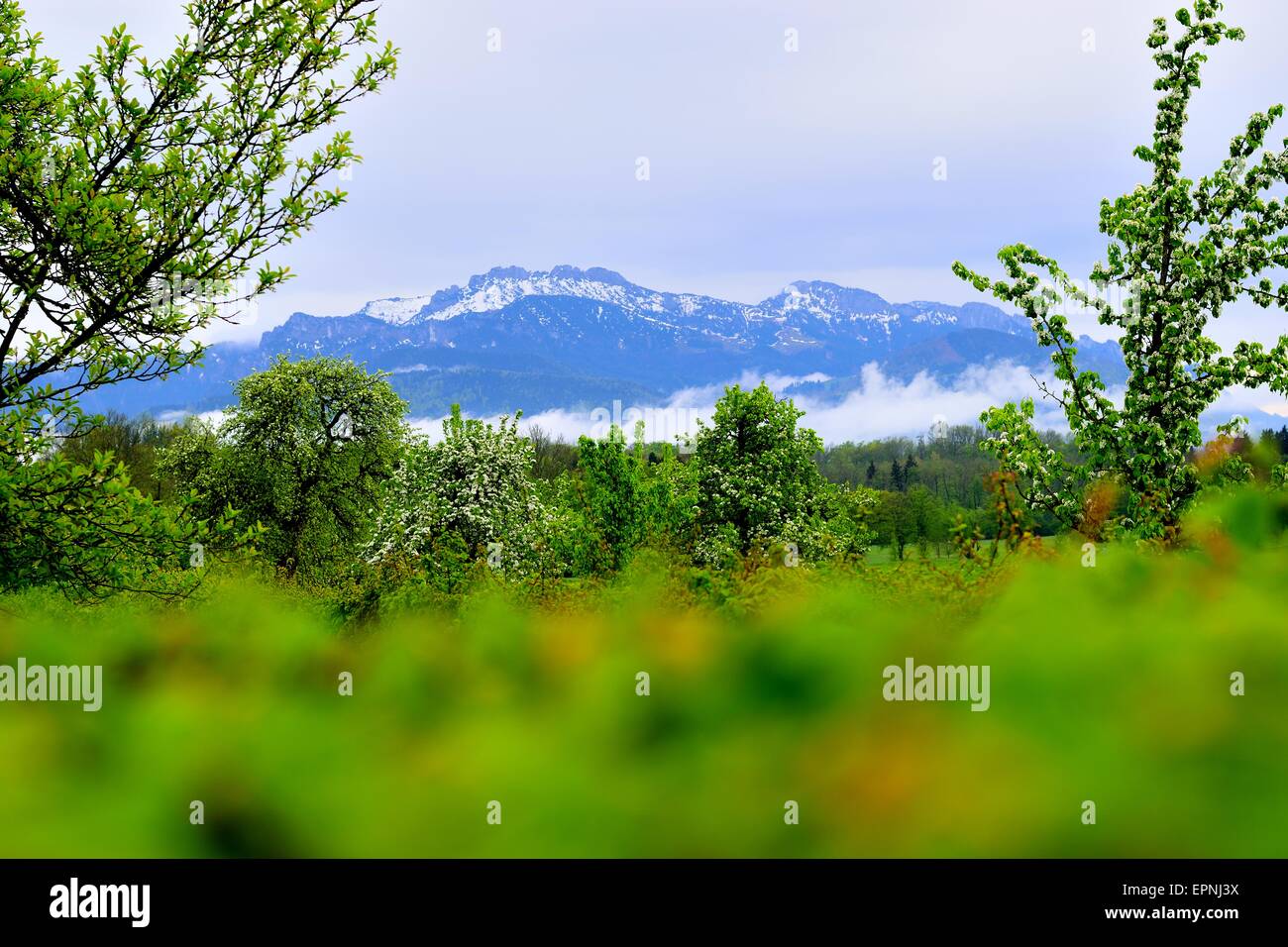 Die chiemgauer alpen -Fotos und -Bildmaterial in hoher Auflösung – Alamy