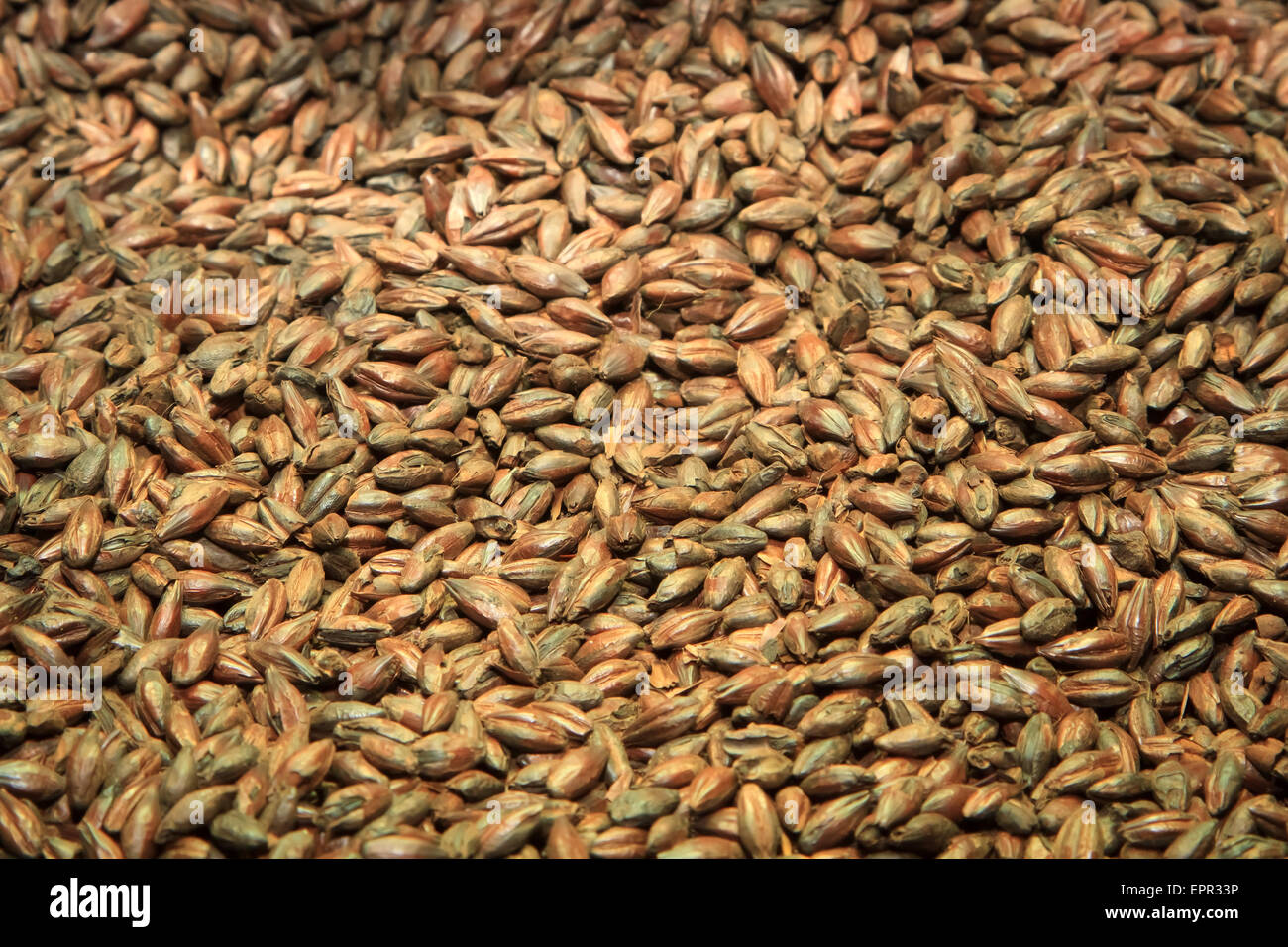 Malz und hopfen -Fotos und -Bildmaterial in hoher Auflösung – Alamy