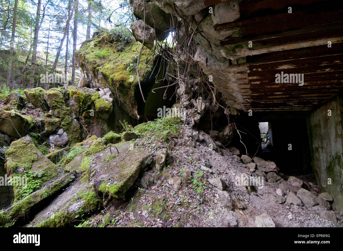 Gast-Bunker in der Wolfsschanze, Hitlers Wolf Lair Ostfront ...