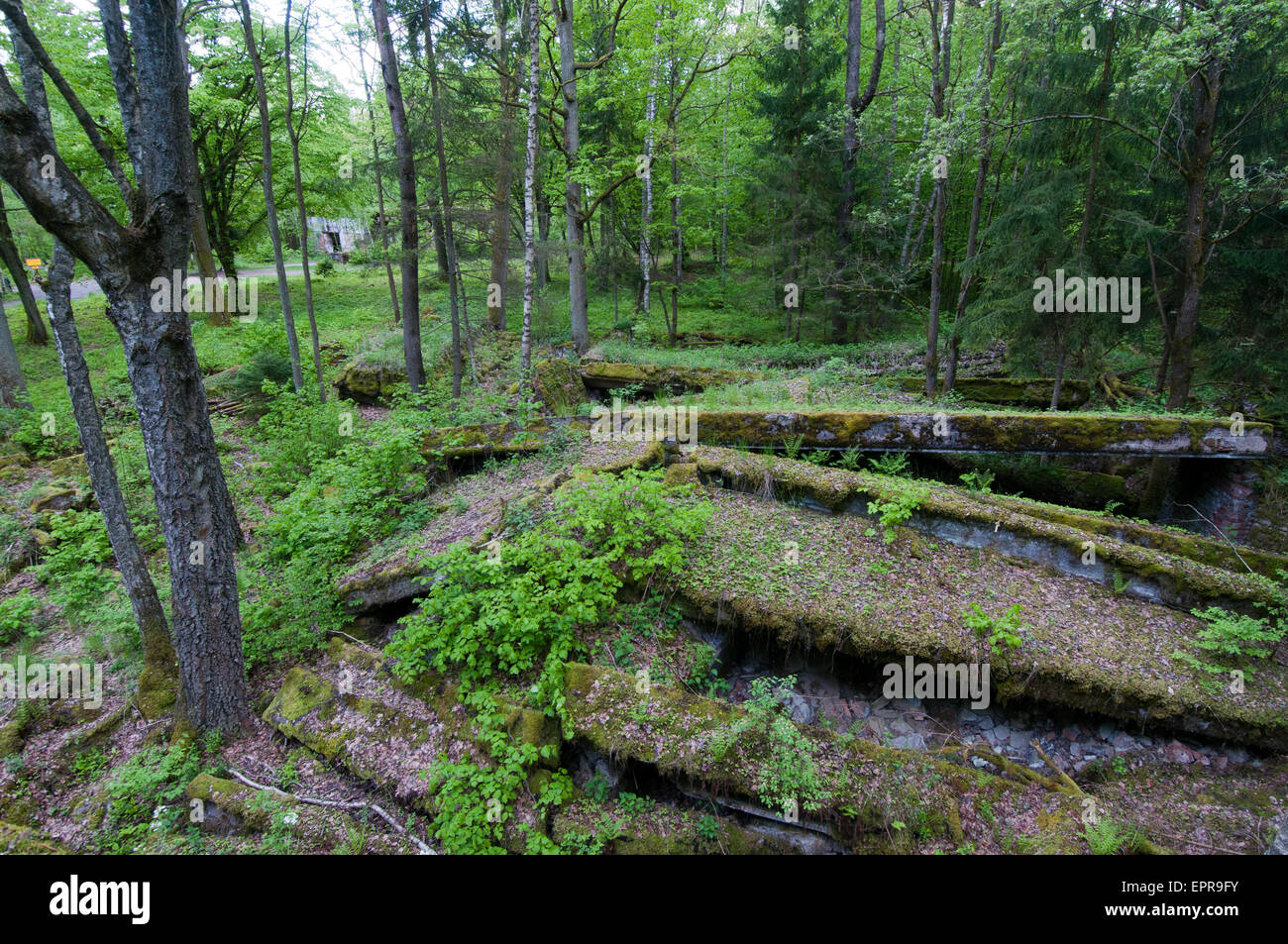 Bunker des Oberkommando der Wehrmacht Feldmarschall Keitel Wolfsschanze ...