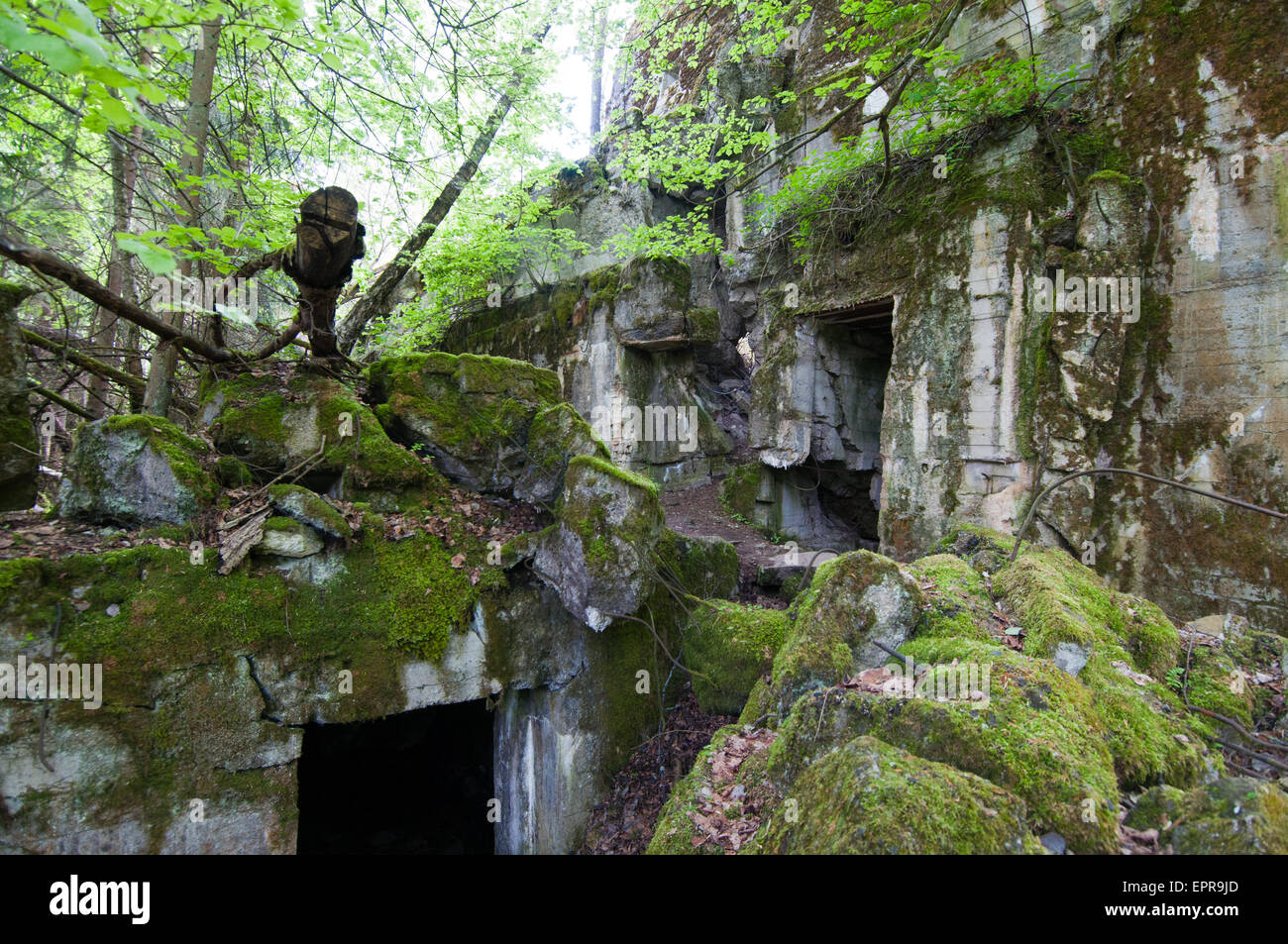 Ruinen von Adolf Hitlers persönliche Bunker in der Wolfsschanze, Wolf ...