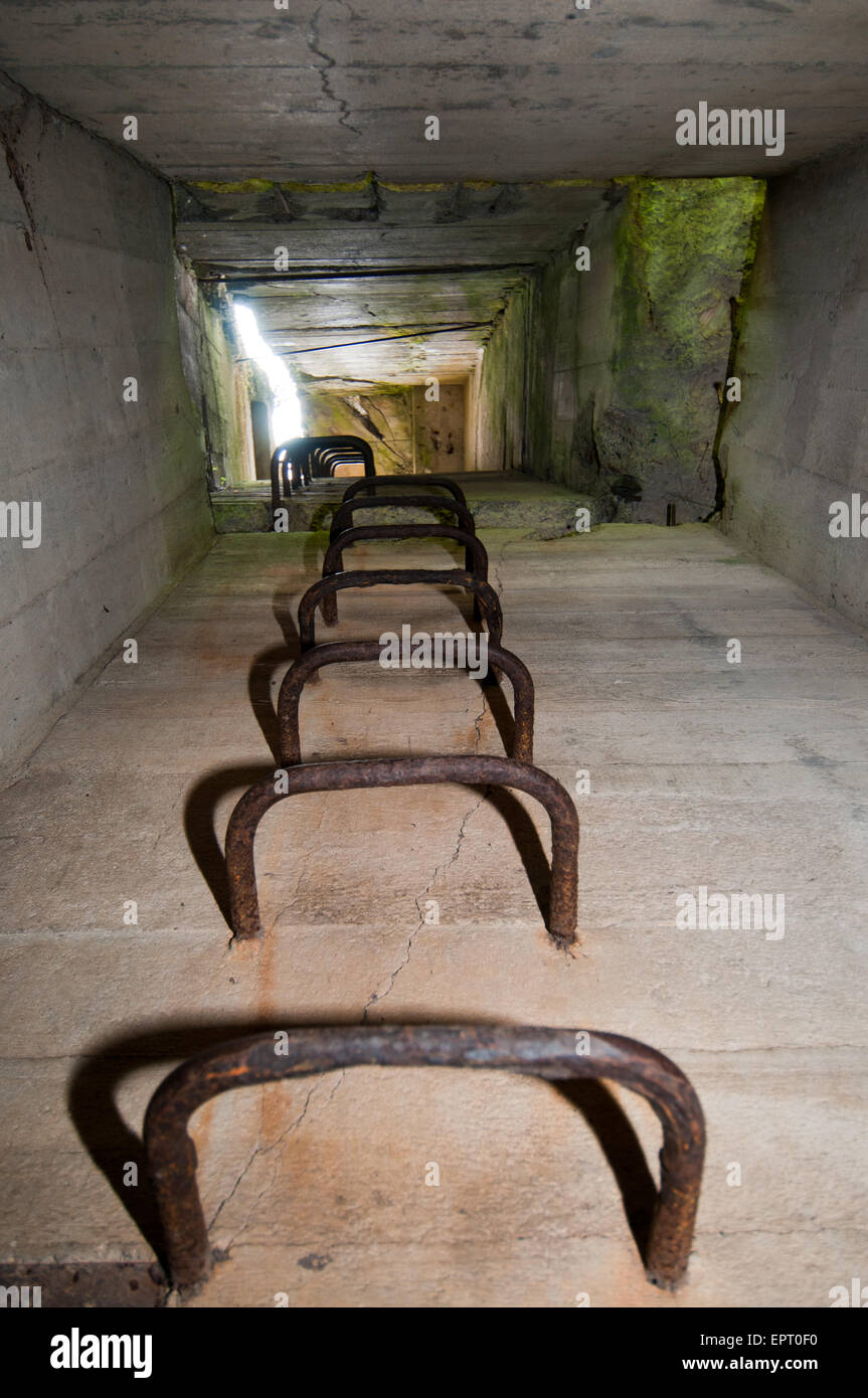 Innenseite Hermann Goering bunker in der Wolfsschanze, Hitlers Wolf ...