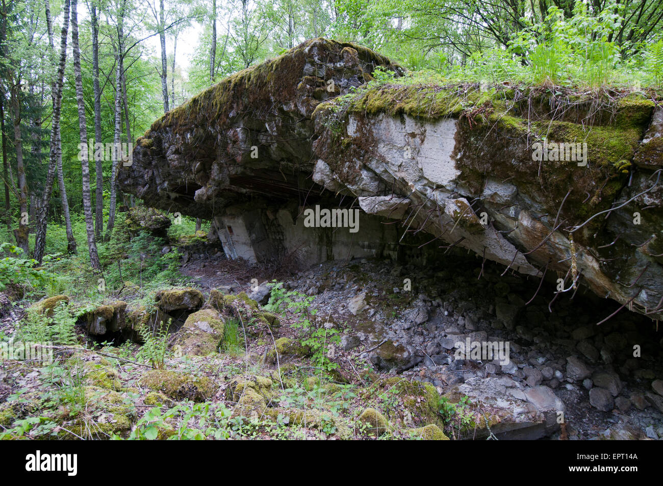 Keitel-Bunker in der Wolfsschanze, Hitlers Wolf Lair Ostfront ...