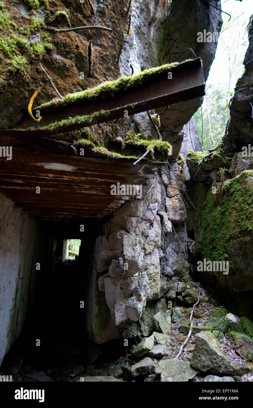 Gast-Bunker in der Wolfsschanze, Hitlers Wolf Lair Ostfront ...