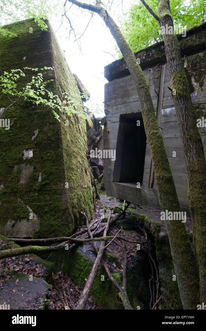 Gast-Bunker in der Wolfsschanze, Hitlers Wolf Lair Ostfront ...