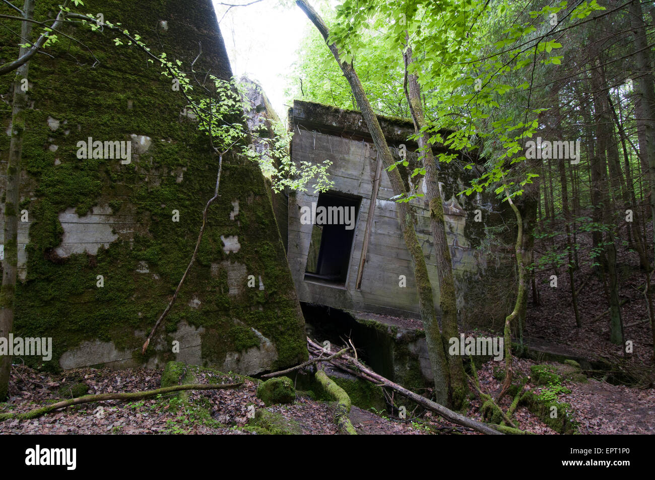 Gast-Bunker in der Wolfsschanze, Hitlers Wolf Lair Ostfront ...