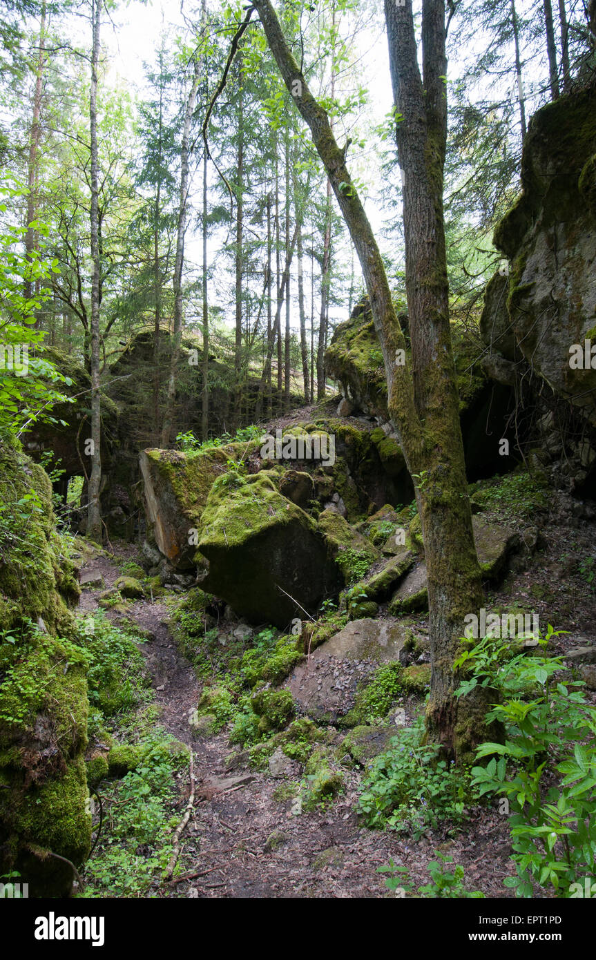 Gast-Bunker in der Wolfsschanze, Hitlers Wolf Lair Ostfront ...