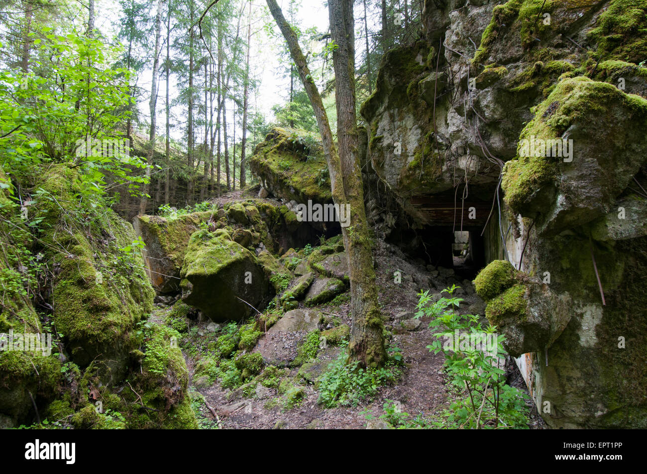 Gast-Bunker in der Wolfsschanze, Hitlers Wolf Lair Ostfront ...