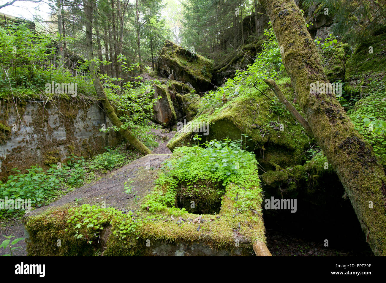 Gast-Bunker in der Wolfsschanze, Hitlers Wolf Lair Ostfront ...